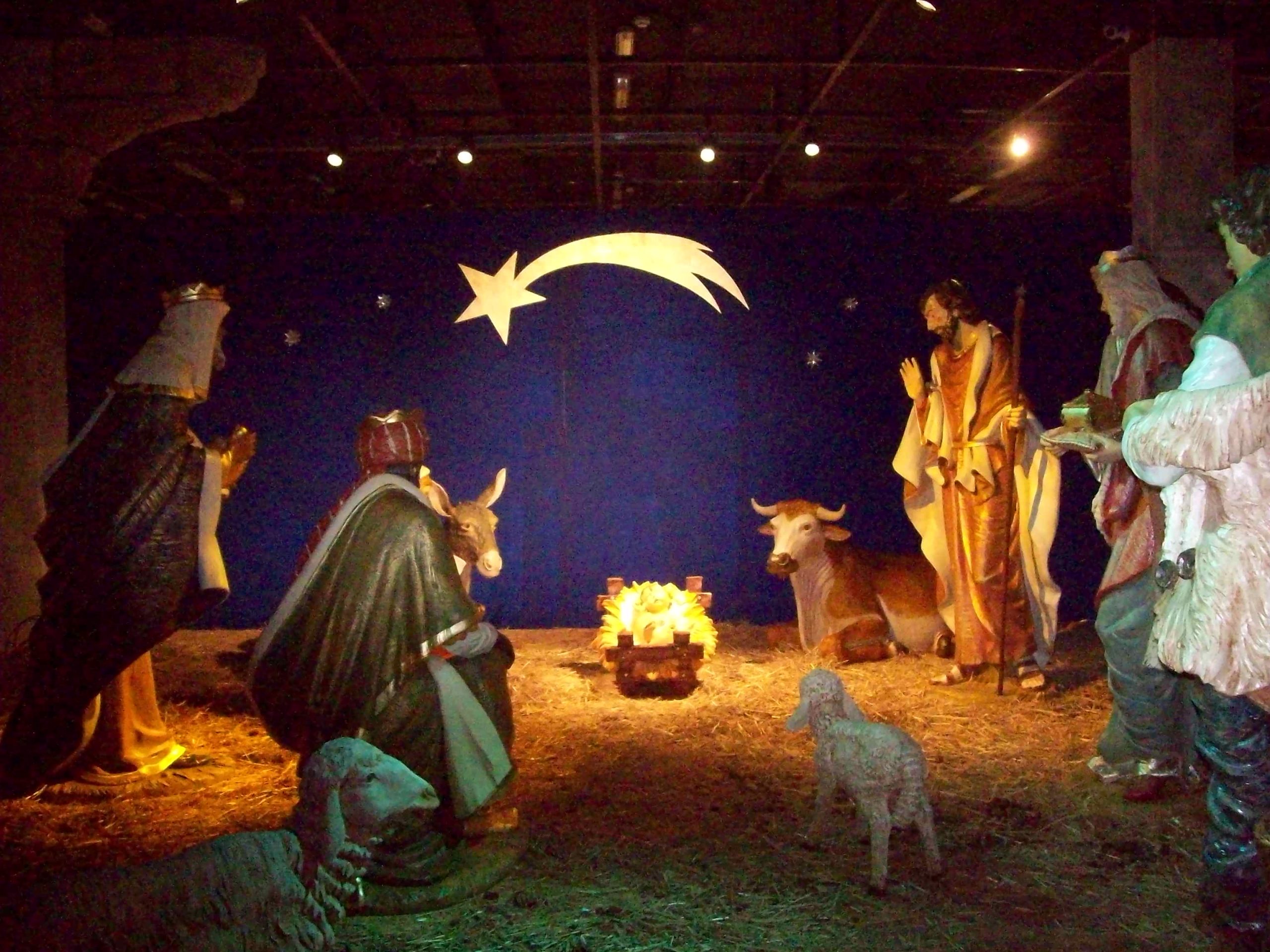 Il presepe e i suoi personaggi - Collezionare
